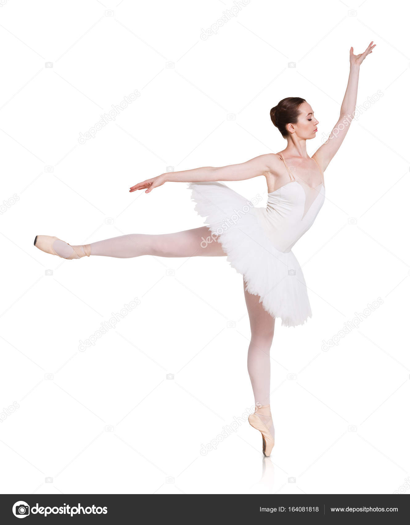 Arabesque Ballet Tutu