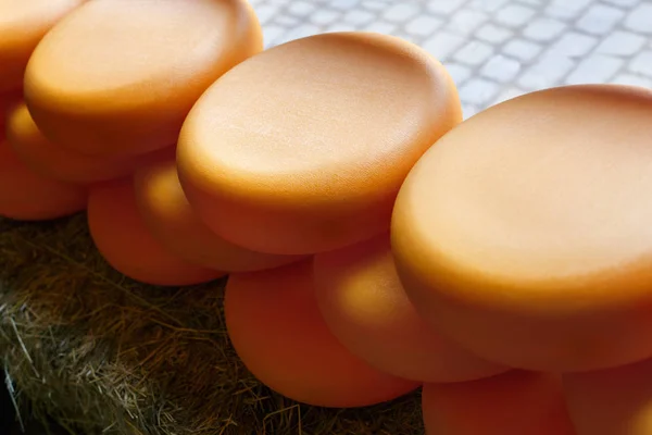 Cheese wheel Stock Photos, Royalty Free Cheese wheel Images | Depositphotos