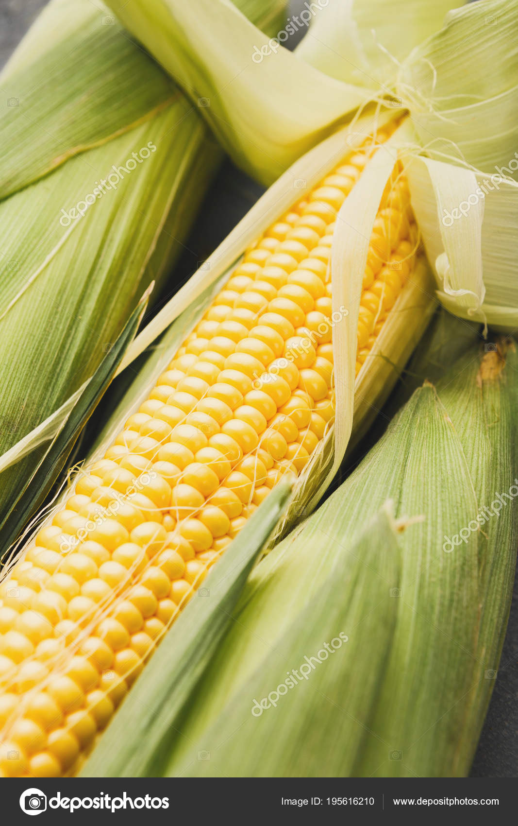 Fresh yellow corn cob closeup, background Stock Photo by ©Milkos 195616210