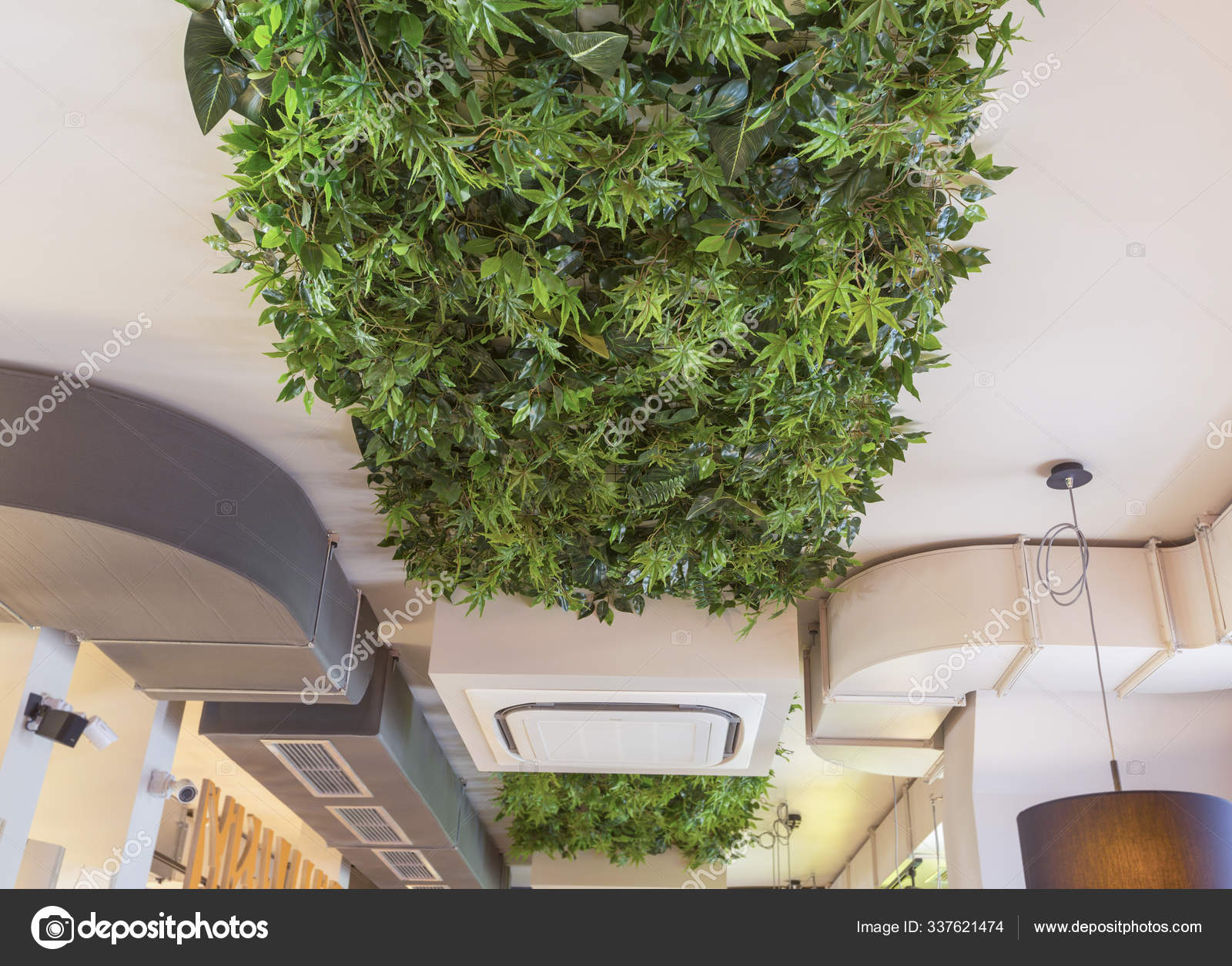 Cafe interior with ceiling in living plants. The interior design ...