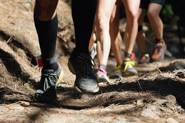 Trail running group on mountain path exercising,freeze action closeup ...