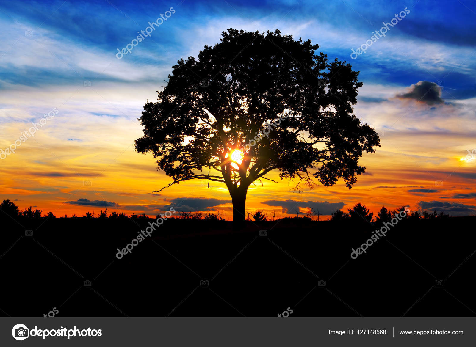 Sunrise with tree. Stock Photo by ©swkunst 127148568
