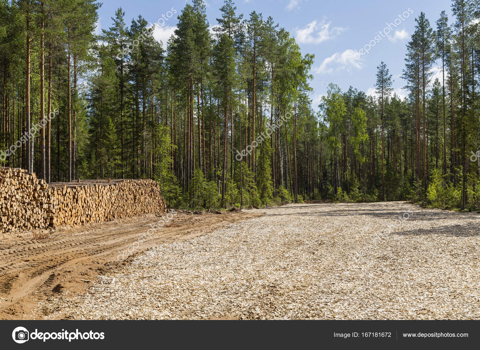 Storage of timber for processing. Stock Photo by ©ancoodinov 167181672