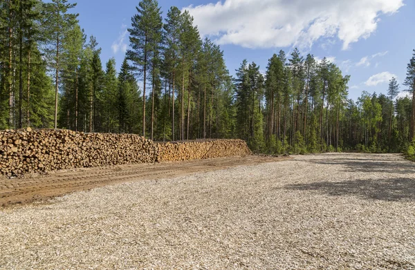 Storage of timber for processing. Stock Photo by ©ancoodinov 167181672