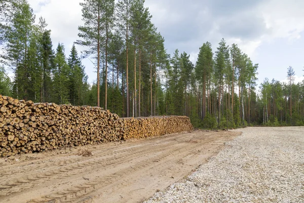 Storage of timber for processing. Stock Photo by ©ancoodinov 167181672