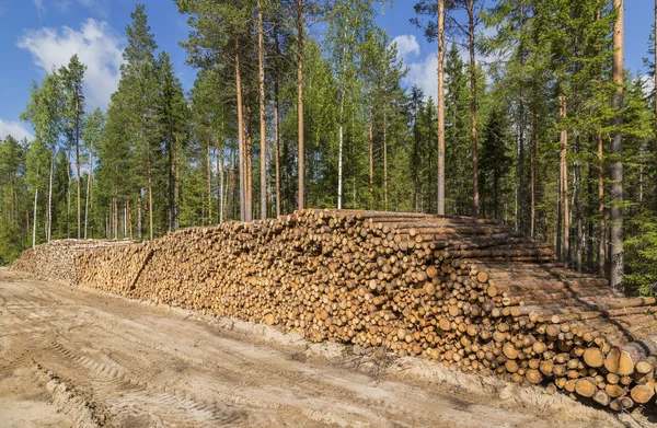 Storage of timber for processing. Stock Photo by ©ancoodinov 167181672