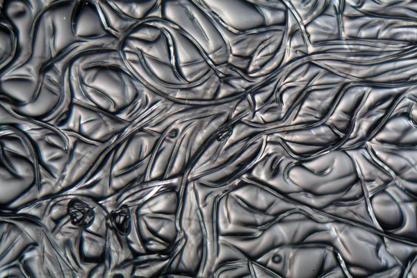 Acetate under microscope | Fibers of Cellulose acetate under the ...