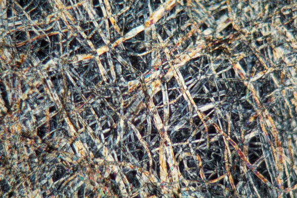 Paper under the microscope Stock Photo by ©ChWeiss 139367352