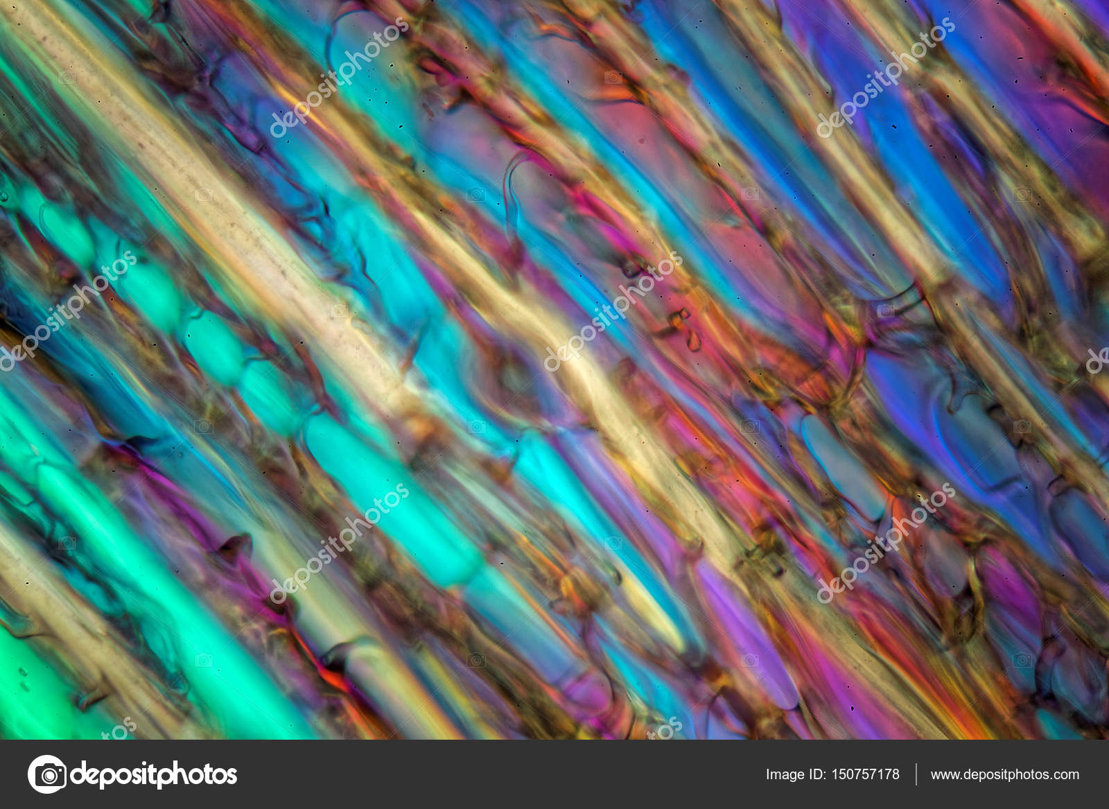 Ice Under Microscope