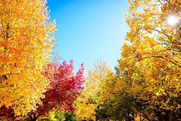 Beautiful peaceful autumn scene — Stock Photo © moisseyev #181065504