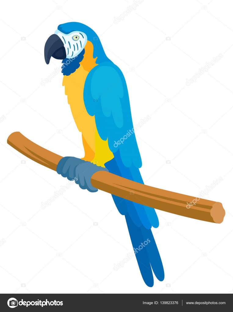 Cartoon Blue Macaw