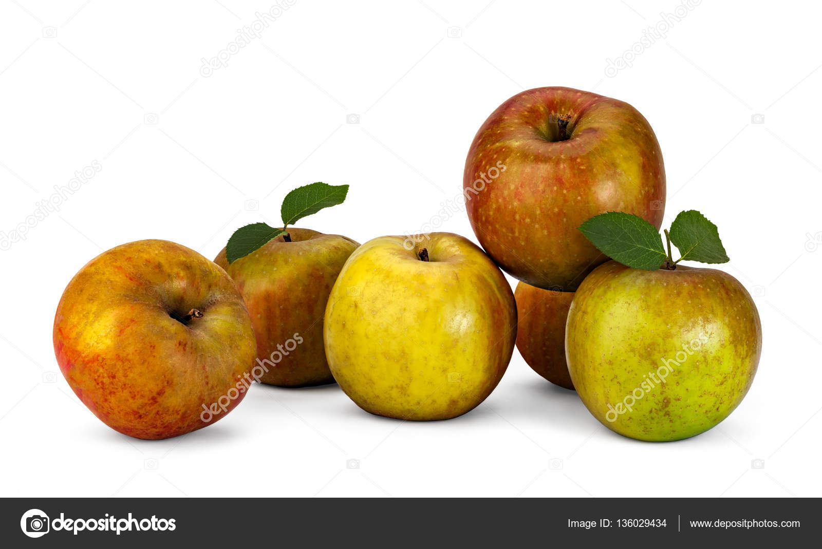 Heap of Rennet apples Stock Photo by ©Balinda 136029434
