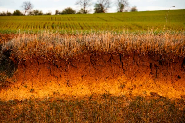 Cross section soil Images - Search Images on Everypixel