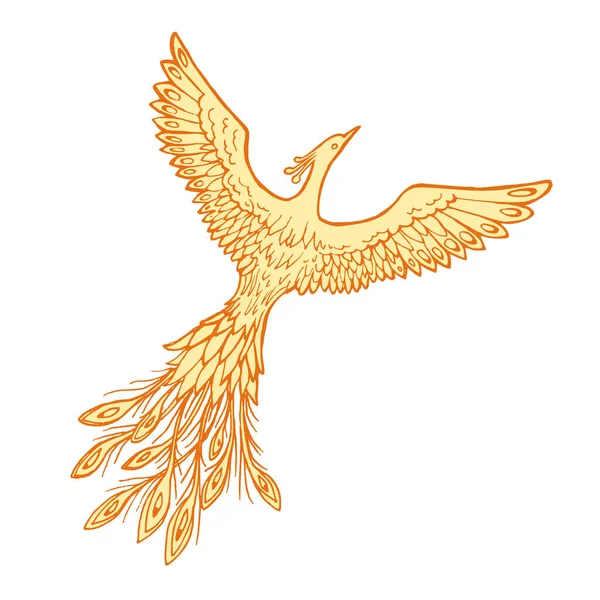 Firebird Animal Drawing