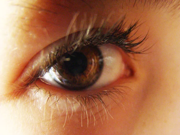 Os olhos salientes Stock Photos, Royalty Free Os olhos salientes Images ...