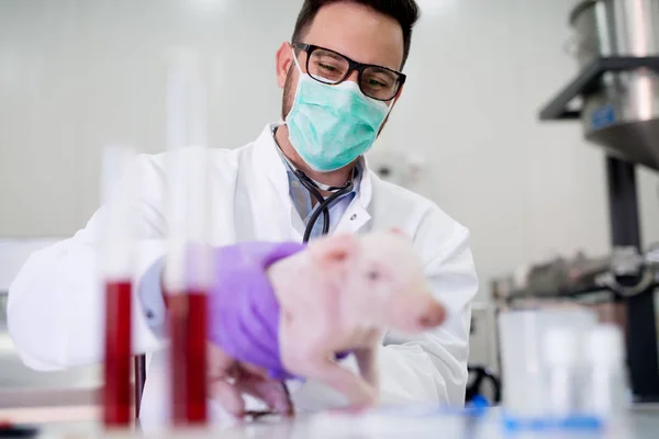 Domestic science Stock Photos, Royalty Free Domestic science Images ...