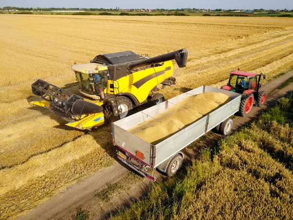 combine harvester filling tractor-trailer with grain during harvesting ...