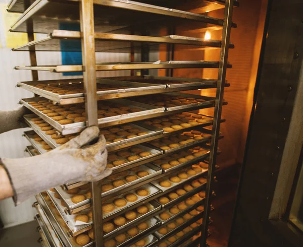 Cookies Production Process Factory Food Industry Many Cookies Trays ...