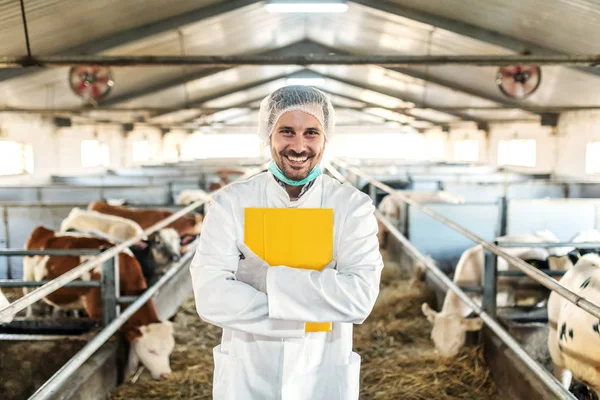 Farm beeves Stock Photos, Royalty Free Farm beeves Images | Depositphotos