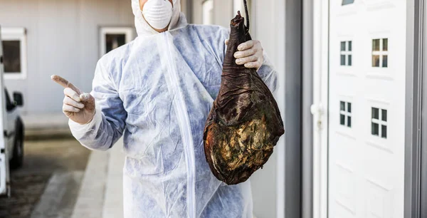 Man with protective suit and mask holding bad meat ham, rotten meat ...