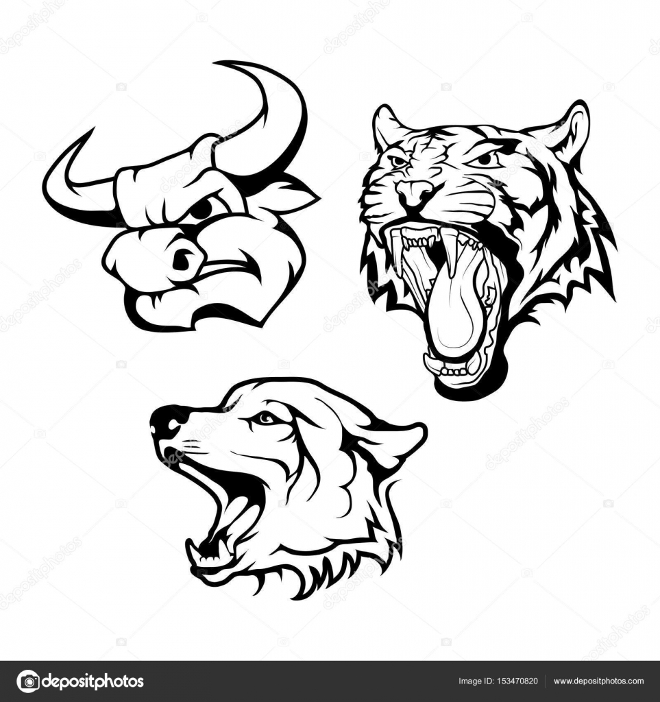 Bull wolf and tiger heads logos Stock Vector Image by ©korniakovstock ...