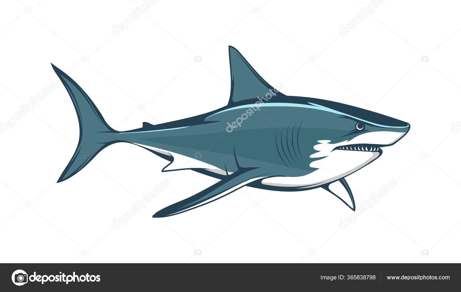 Great White Shark Side View Outline