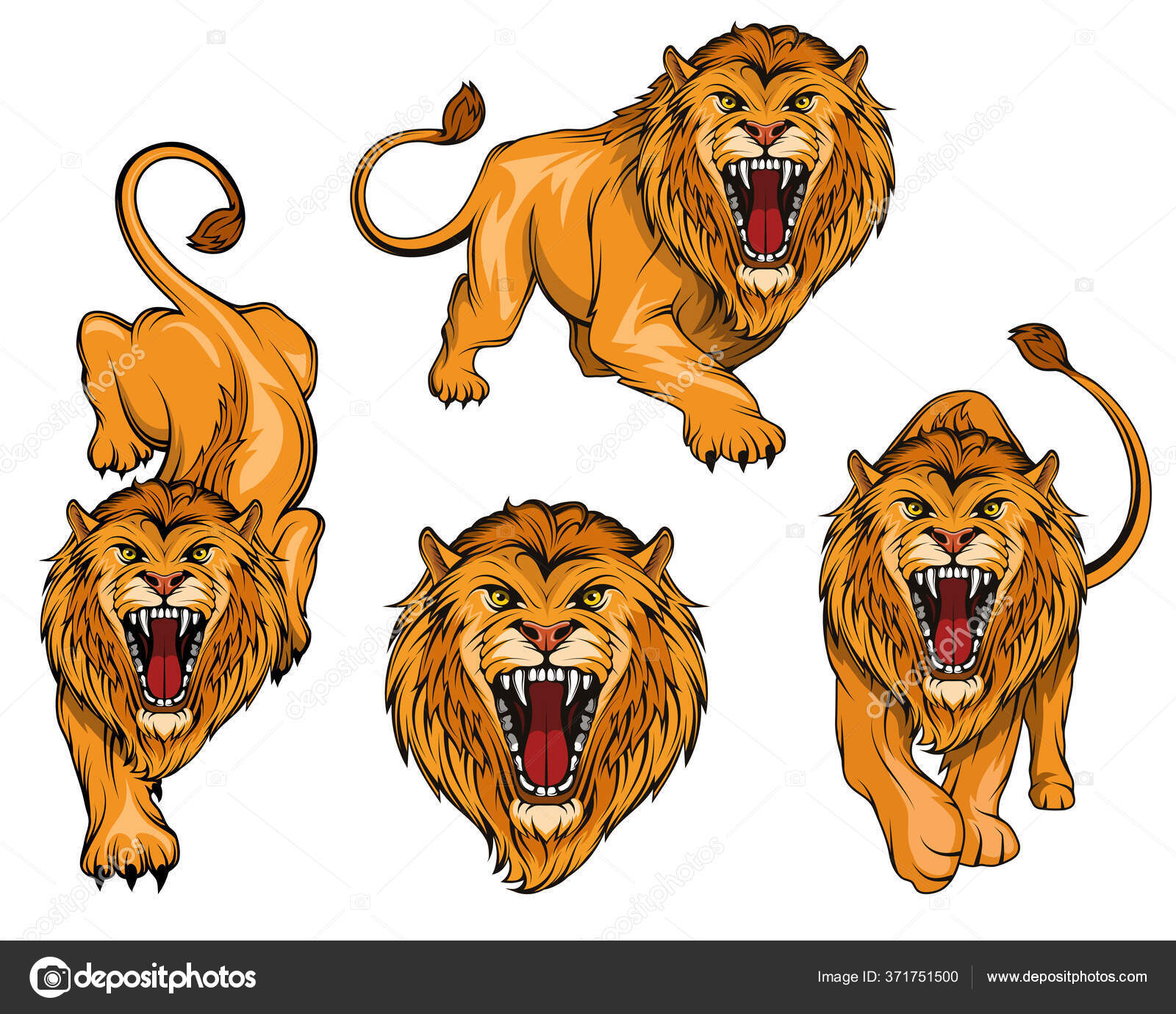 Lion Logo Set Angry Roar Lion Predator Animal Tameless Color Stock ...