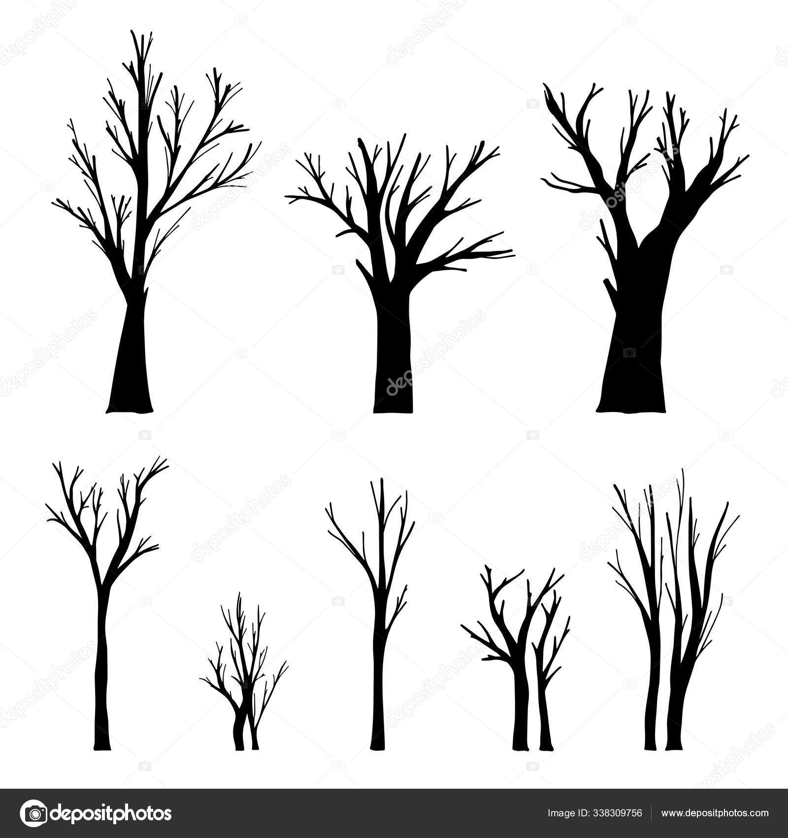 Set Isolated Flat Tree Trunks White Background Hand Drawn Vector Stock ...