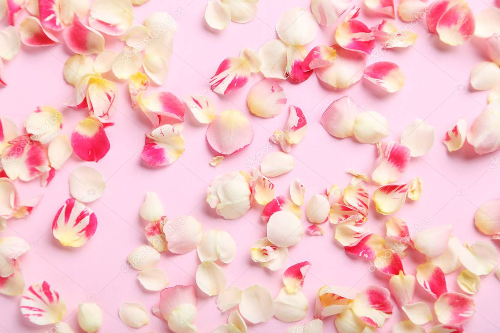 Rose petals on background — Stock Photo © 5seconds #129657550