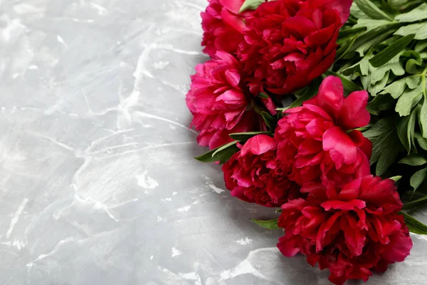 Peonies flowers Stock Photos, Royalty Free Peonies flowers Images ...