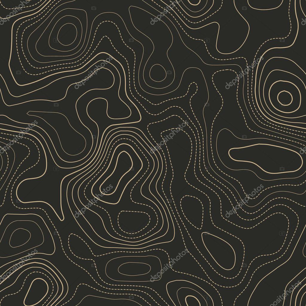 Mapa topográfico. Mapa topográfico real. Diseño sin costuras. Elegante ...