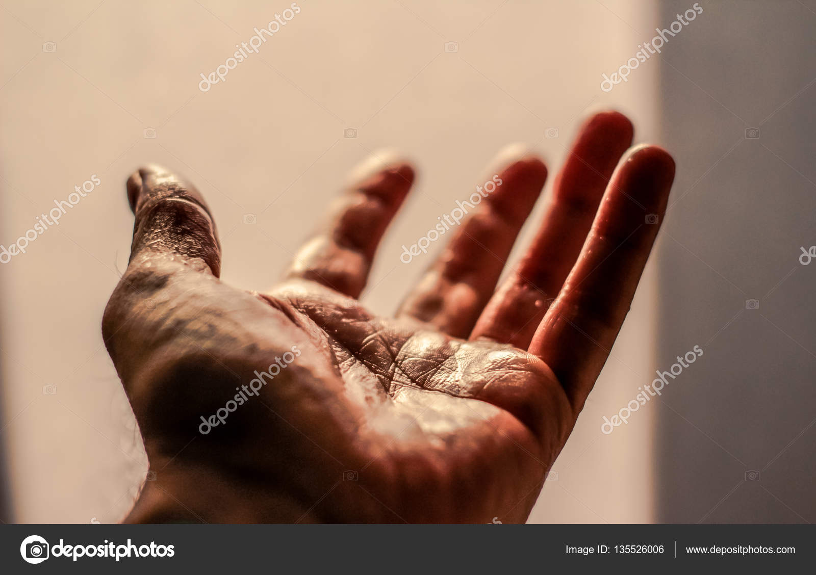 Open human hand — Stock Photo © bernardojbp #135526006