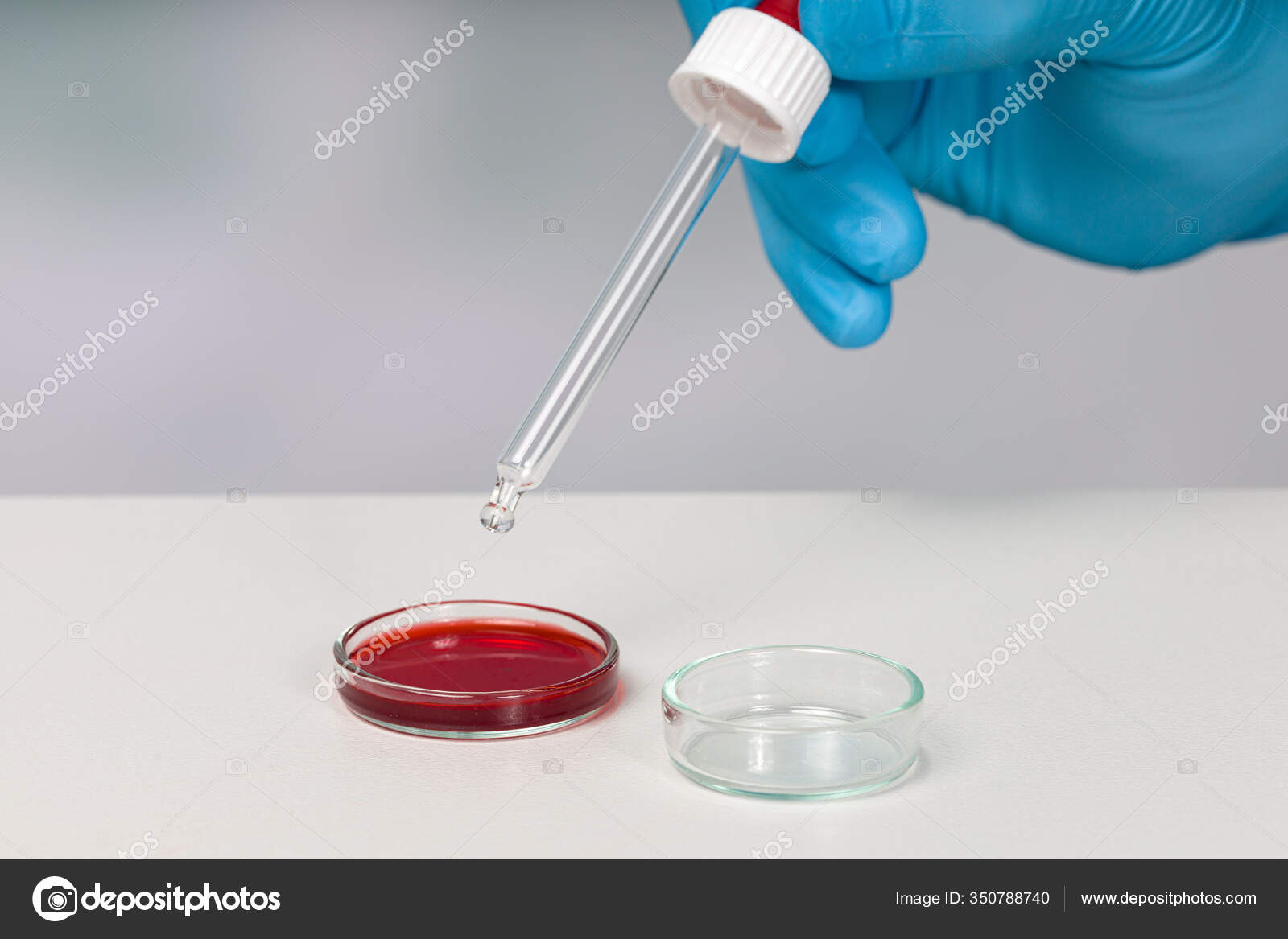 Close Medical Laboratory Work Probes Petri Dish — Stock Photo ...