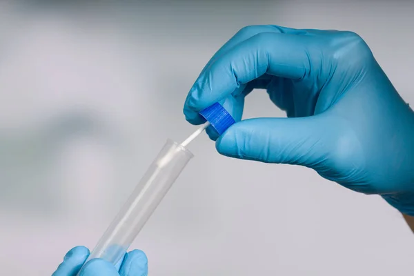 Close Medical Laboratory Work Probes Petri Dish Stock Photo by ...