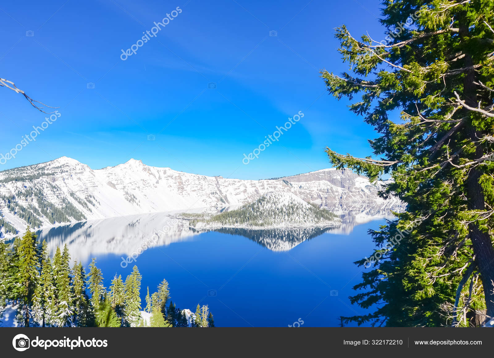 Green pine tree lush and reflection of snowcap mountain with Wizard ...