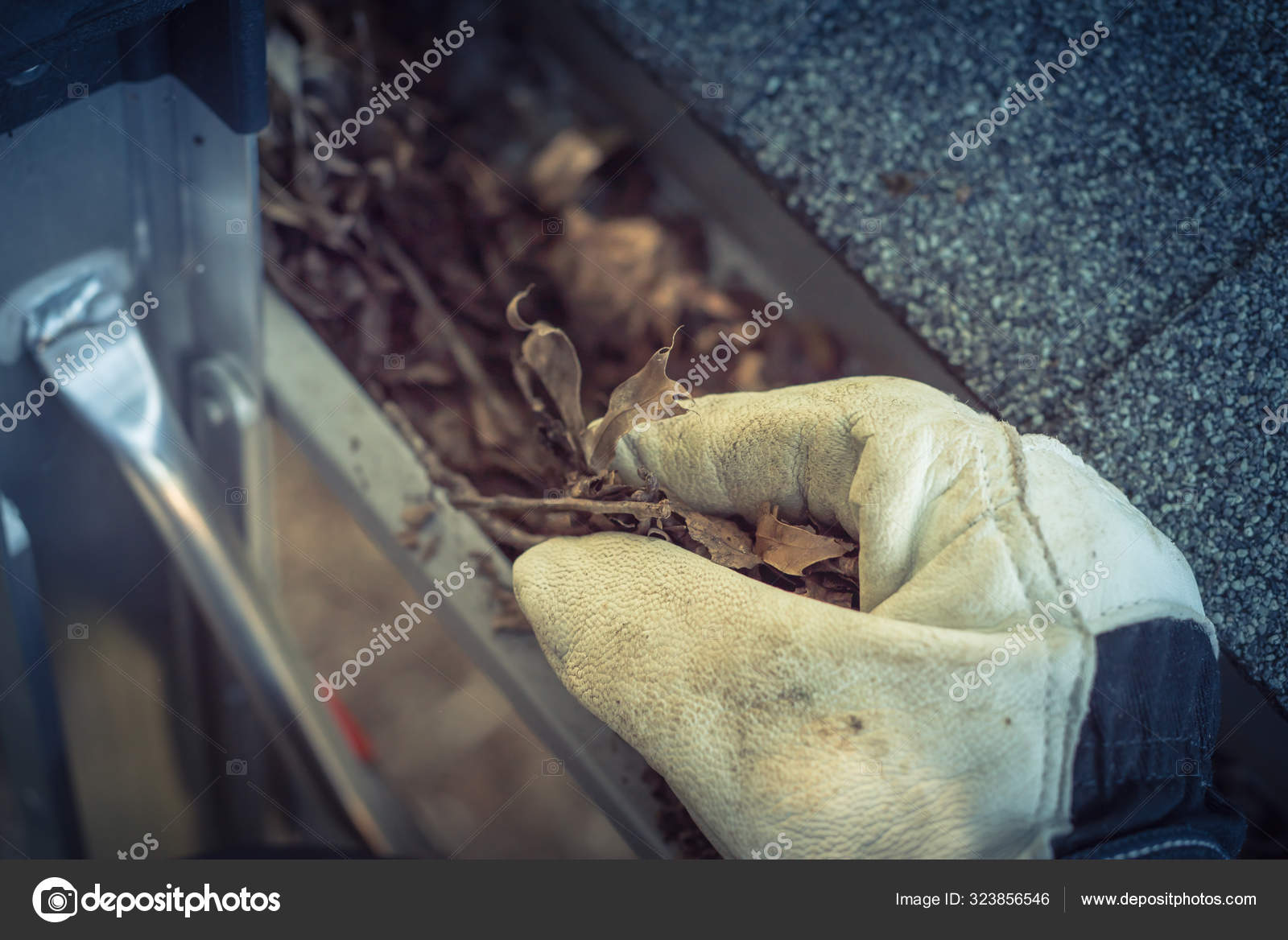 Close Man Hand Gloves Ladder Cleaning House Gutter Leaves Dirt — Stock ...