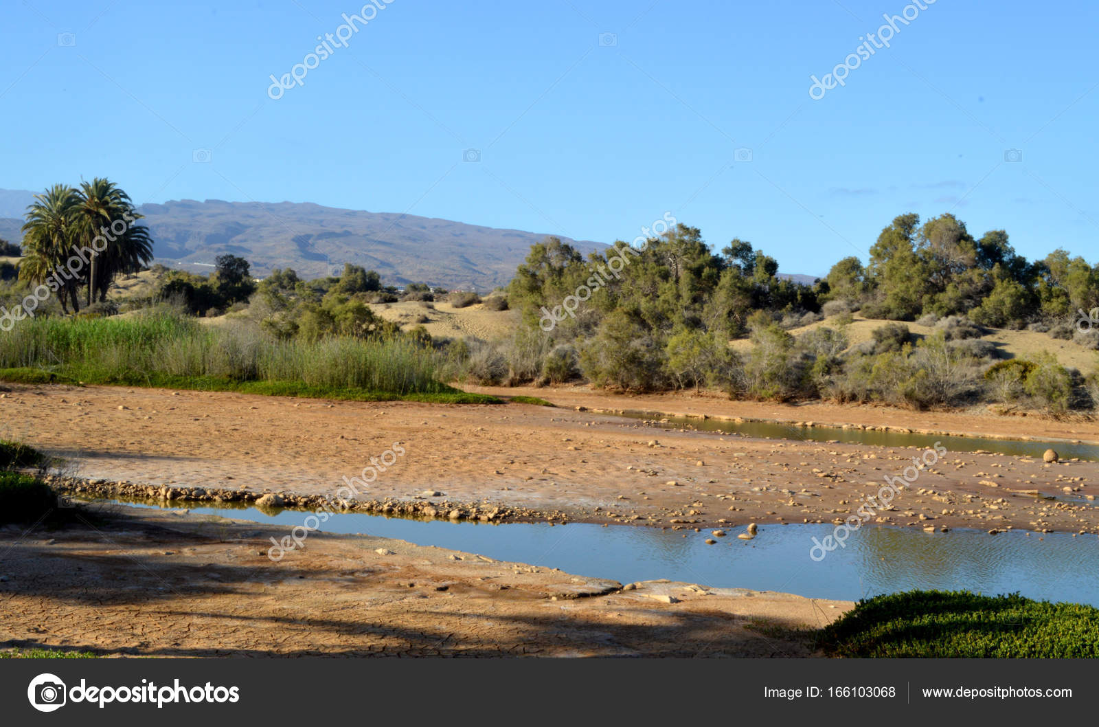 El charco nature reserve Stock Photo by ©welburnstuart 166103068
