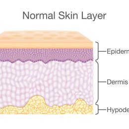 Fotos de Derme, Imagens de Derme sem royalties | Depositphotos