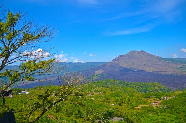 Volcano forest tropical trees leaves Indonesia mountains rocks lake ...