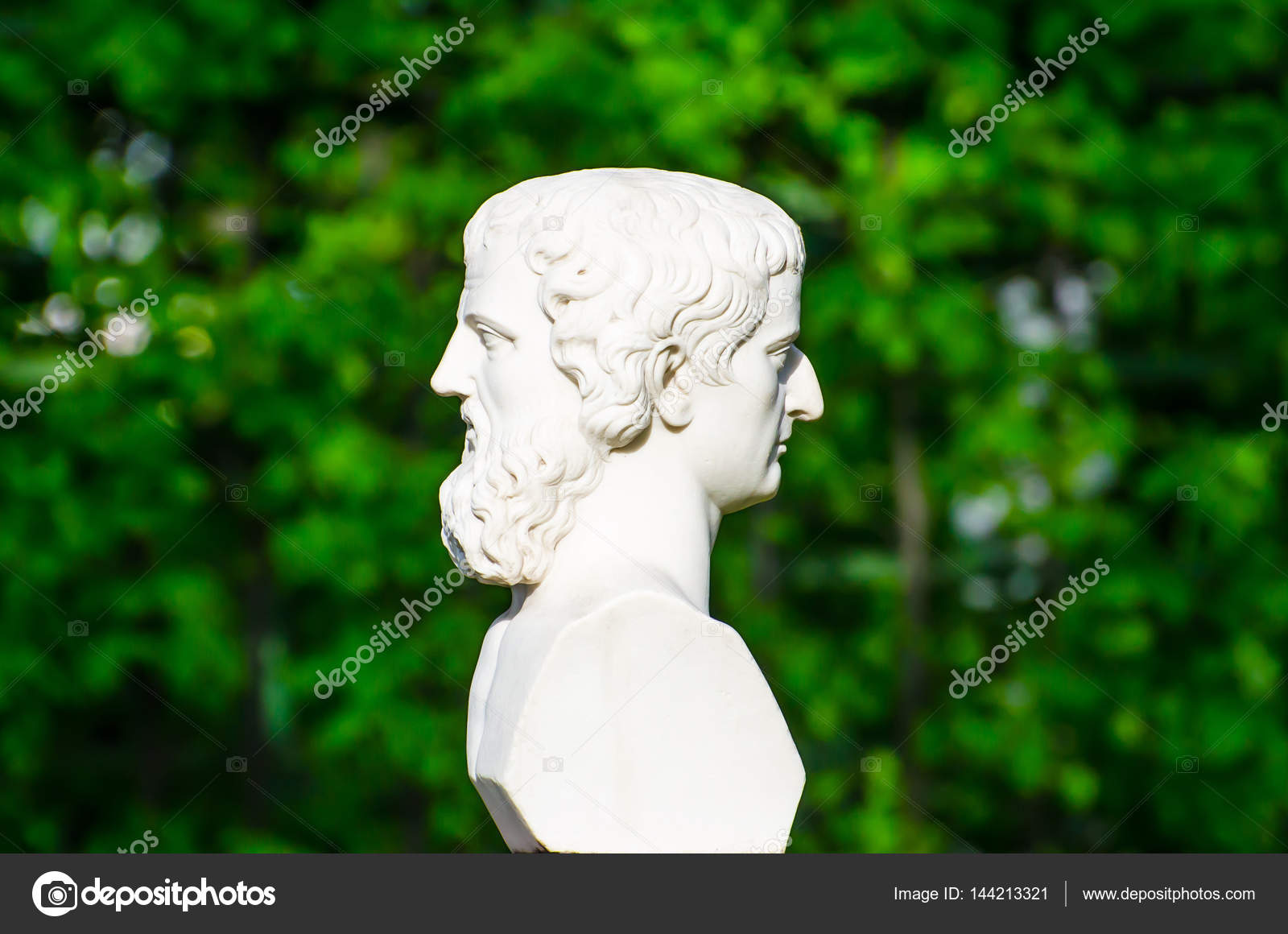 Greek Statue Head Profile