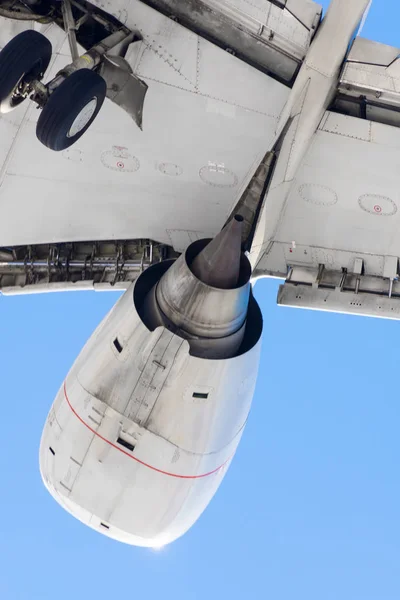 Macro aeroplanismo Stock Photos, Royalty Free Macro aeroplanismo Images ...