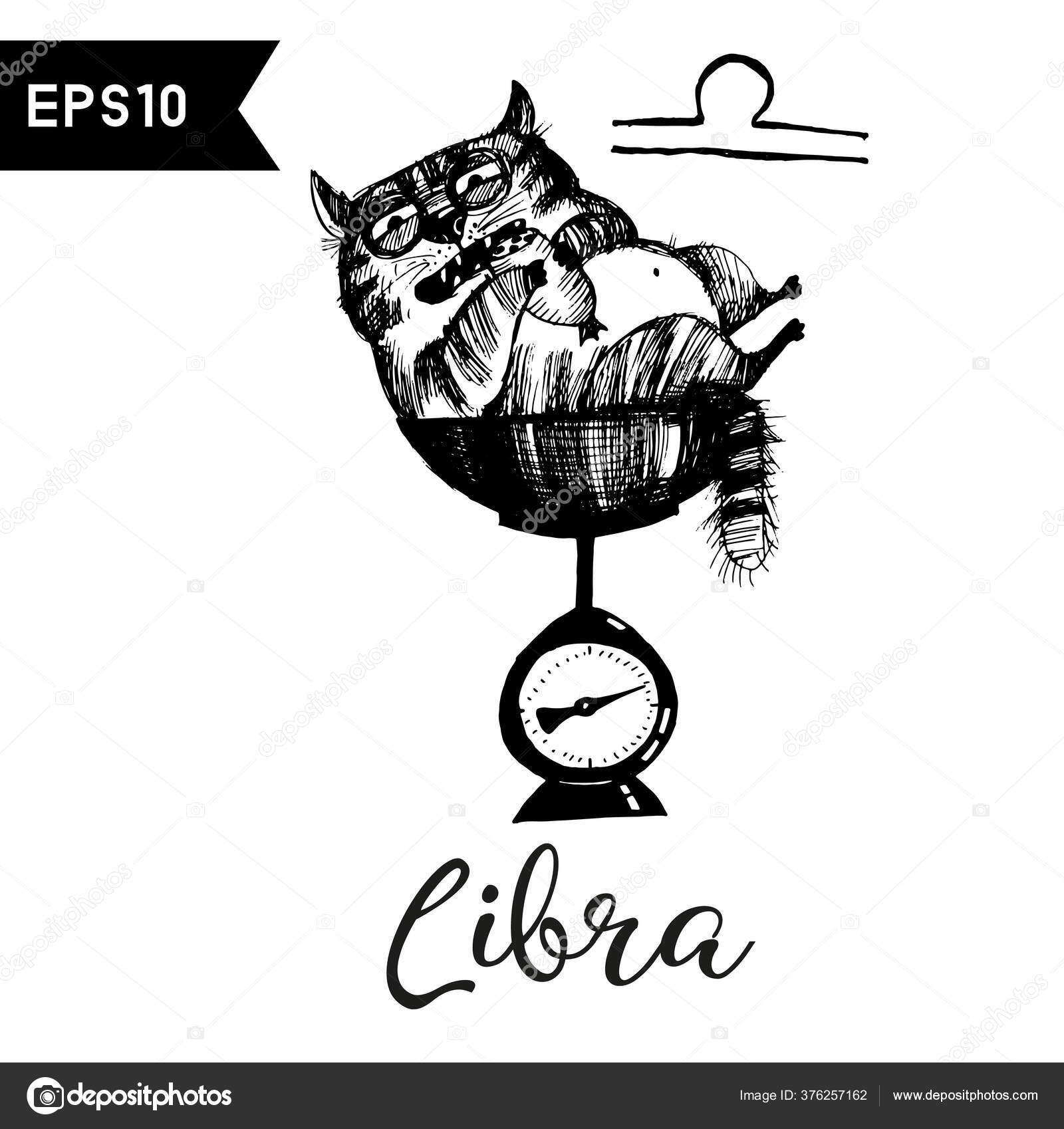 Libra Cat Gato Divertido Del Zodiaco Ilustración Del Boceto Vector de ...