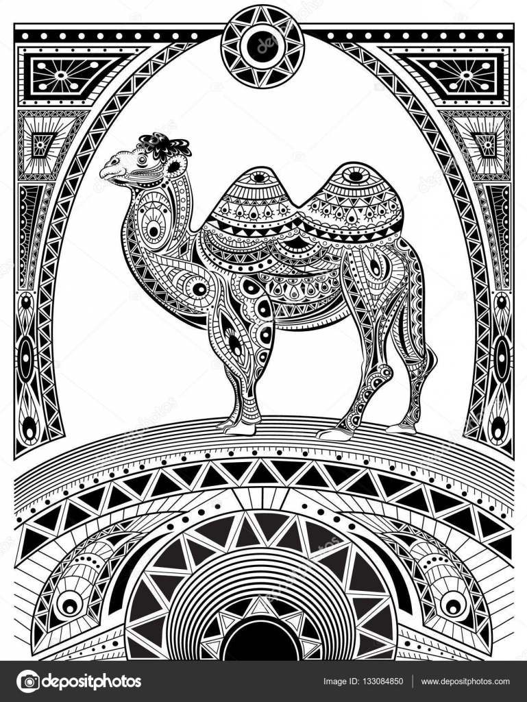 Stylized vector camel, zentangle isolated for relax and meditat Stock ...