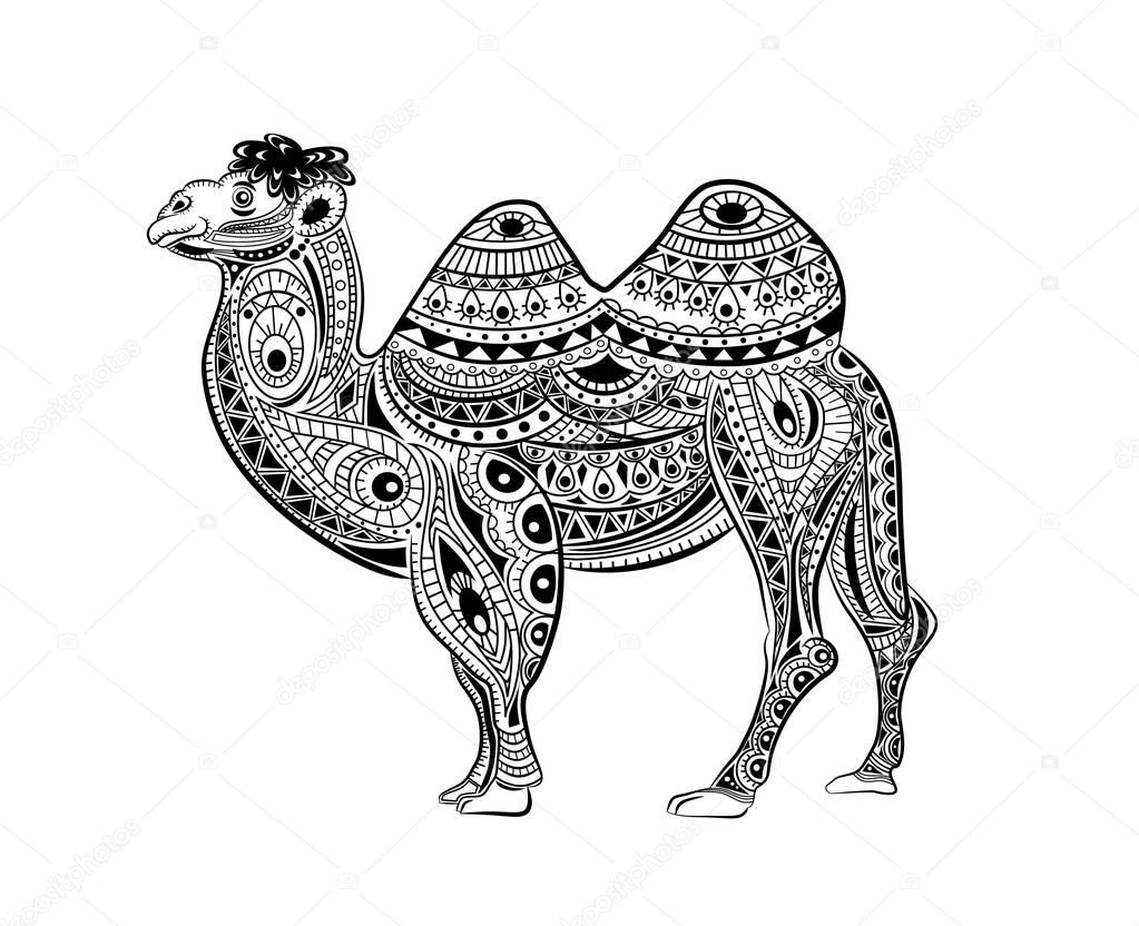 Camello vector estilizado, zentangle aislado sobre fondo blanco ...
