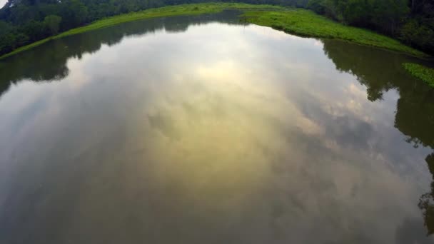 Amazon Rainforest - Lake - Swamp Stock Video Footage by ©Canopus #144918383