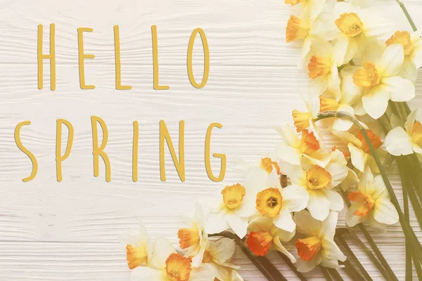 Hello spring Stock Photos, Royalty Free Hello spring Images | Depositphotos