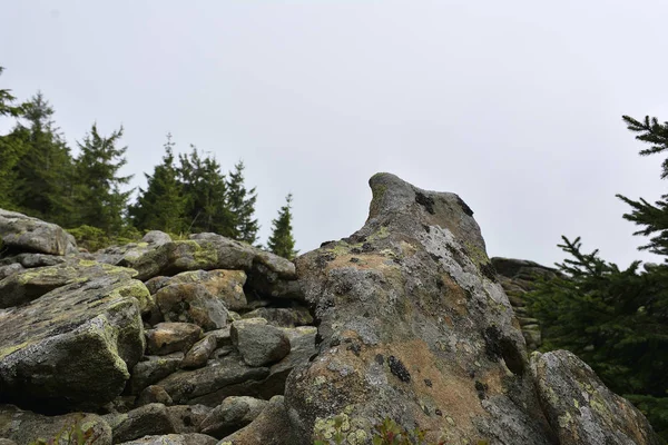 Old stone wall from military bunker (Bretcu, Romania) Stock Photo by ...