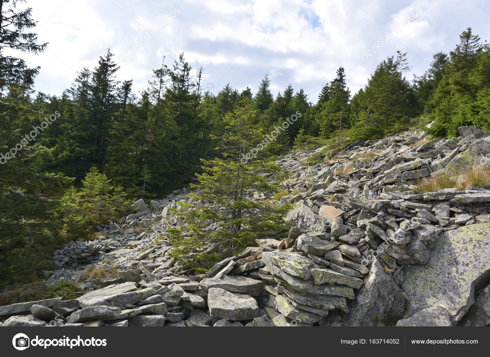 Old stone wall from military bunker (Bretcu, Romania) Stock Photo by ...