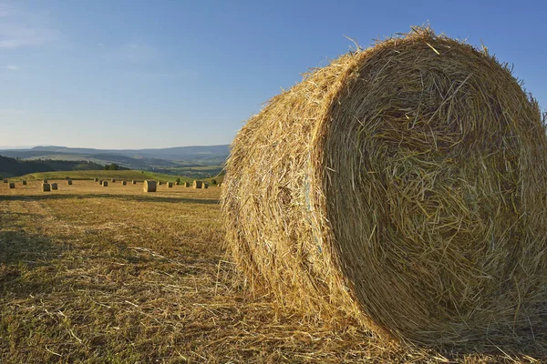 Hay rolls Stock Photos, Royalty Free Hay rolls Images | Depositphotos