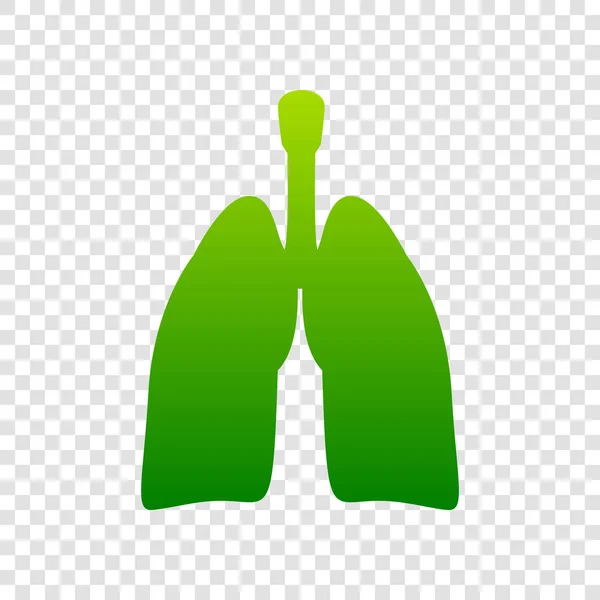 22,923,489 Green lung Vector Images | Depositphotos